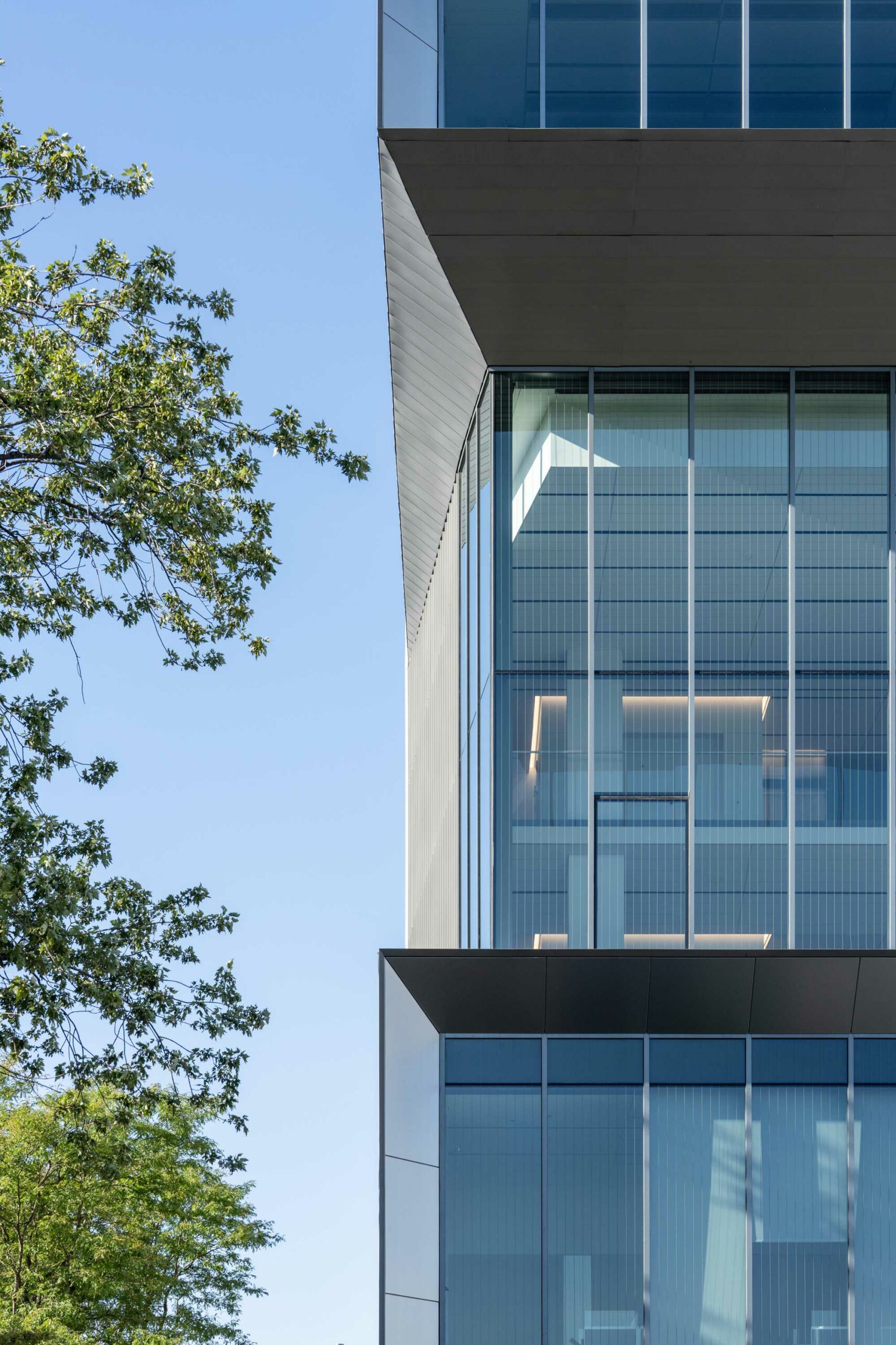 David Rubenstein Forum - ParkFowler Plus