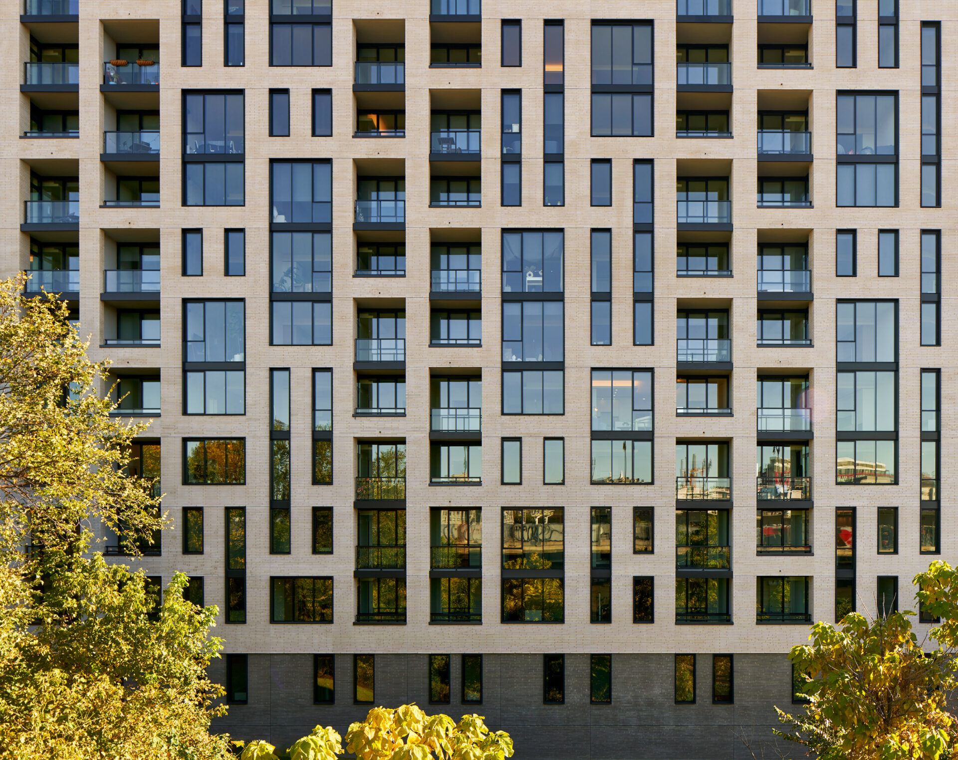 Margarite - ParkFowler Plus